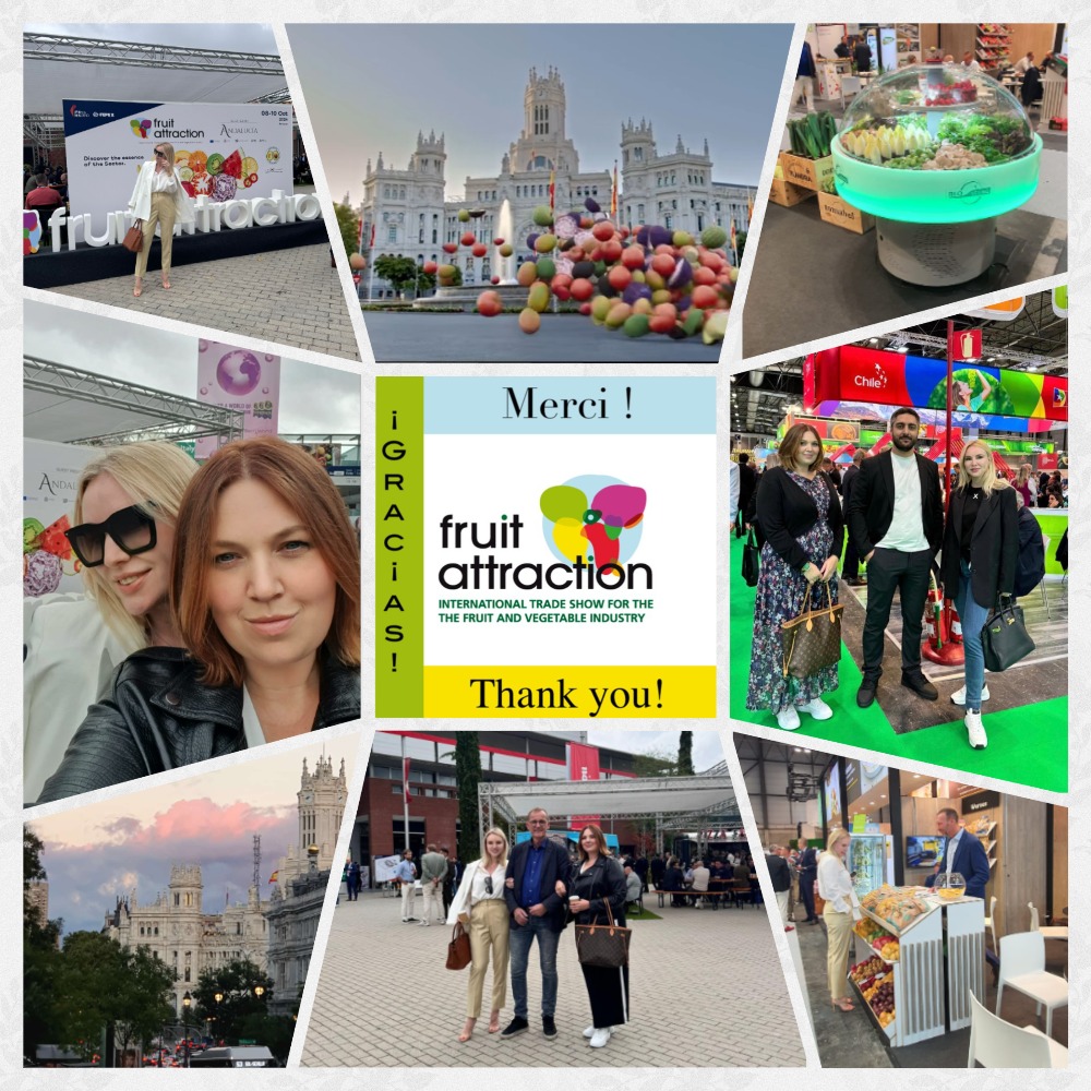 Тимбилдинг Fruit Queen 2024